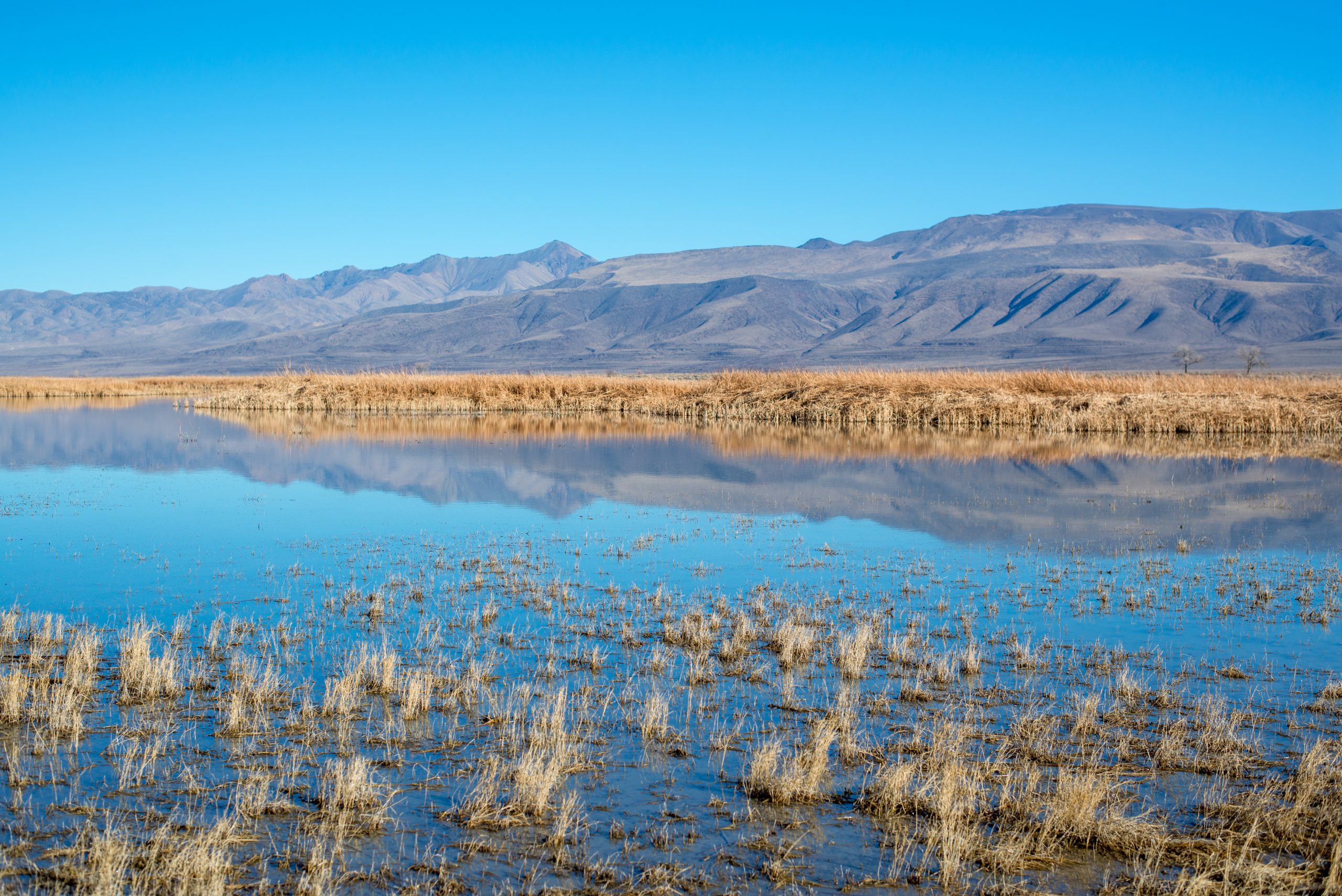 Discovering the Greater Fallon, NV Region: Work, Live, and Play with ...